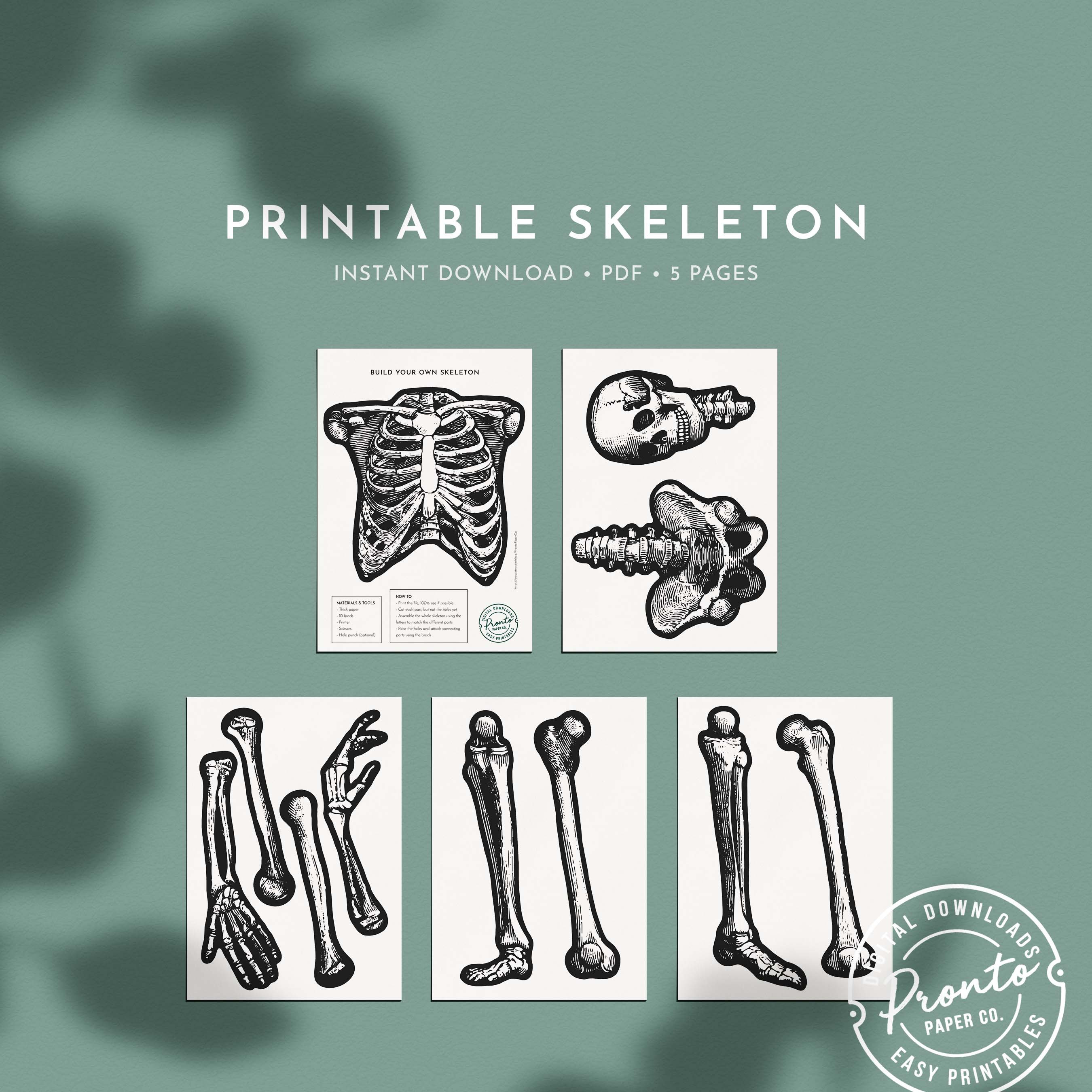 Printable Skeleton Vintage Halloween Digital Download Easy - Etsy