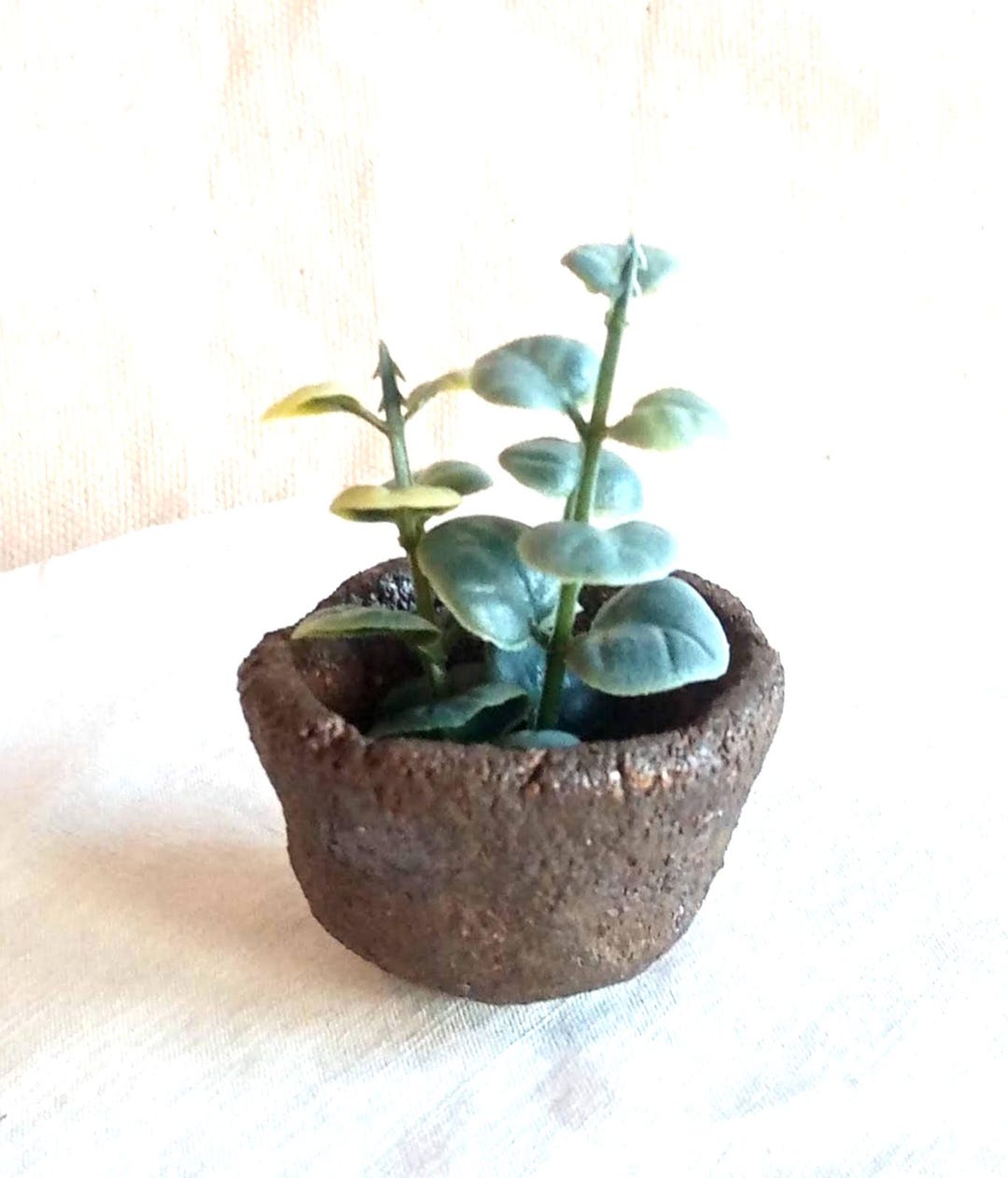 Mame Bonsai Pot Kusamono Diam 4cm Stoneware Handmade Unique. - Etsy