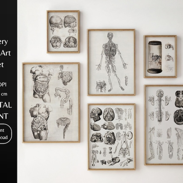 Medical Art - Etsy