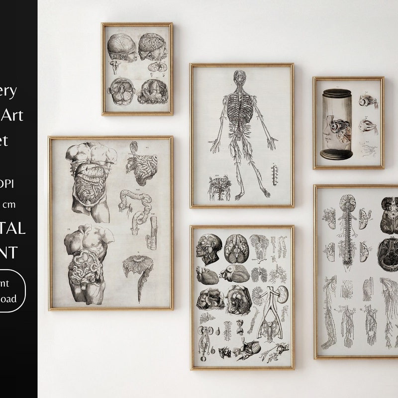 Medical Art - Etsy