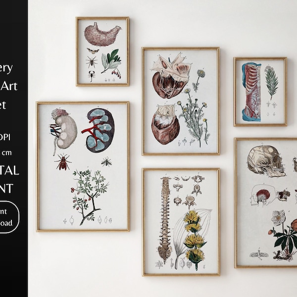 Biology Wall Art - Etsy