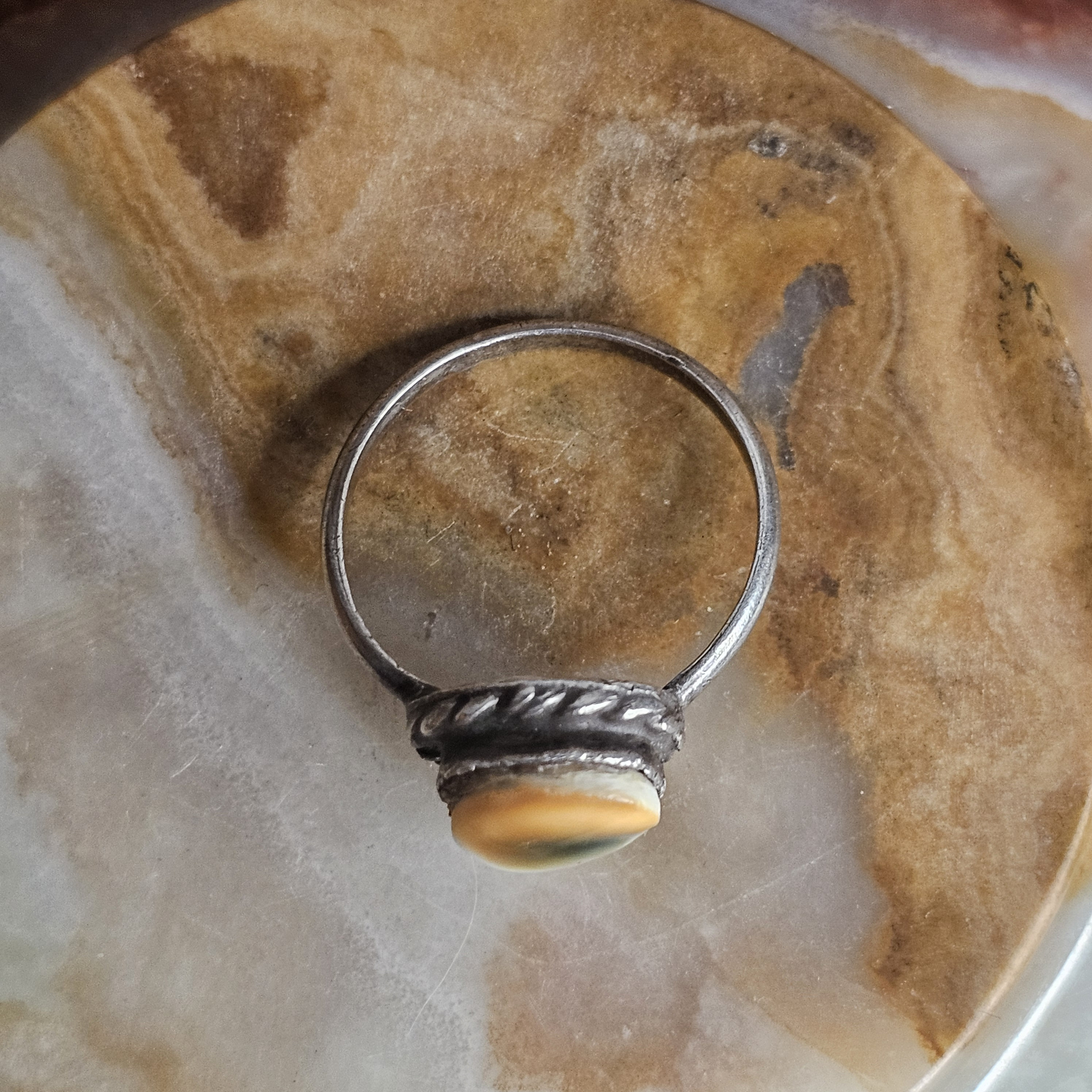 Antique Operculum Shiva Eye Ring 1930s - Etsy