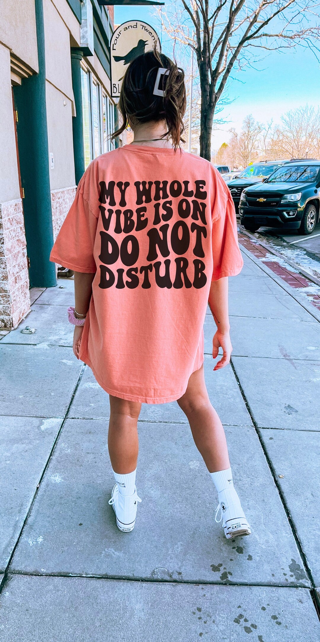 Comfort Colors My Whole Vibe is on Do Not Disturb Funny Womens - Etsy
