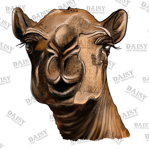 Camel Head Printable - Etsy