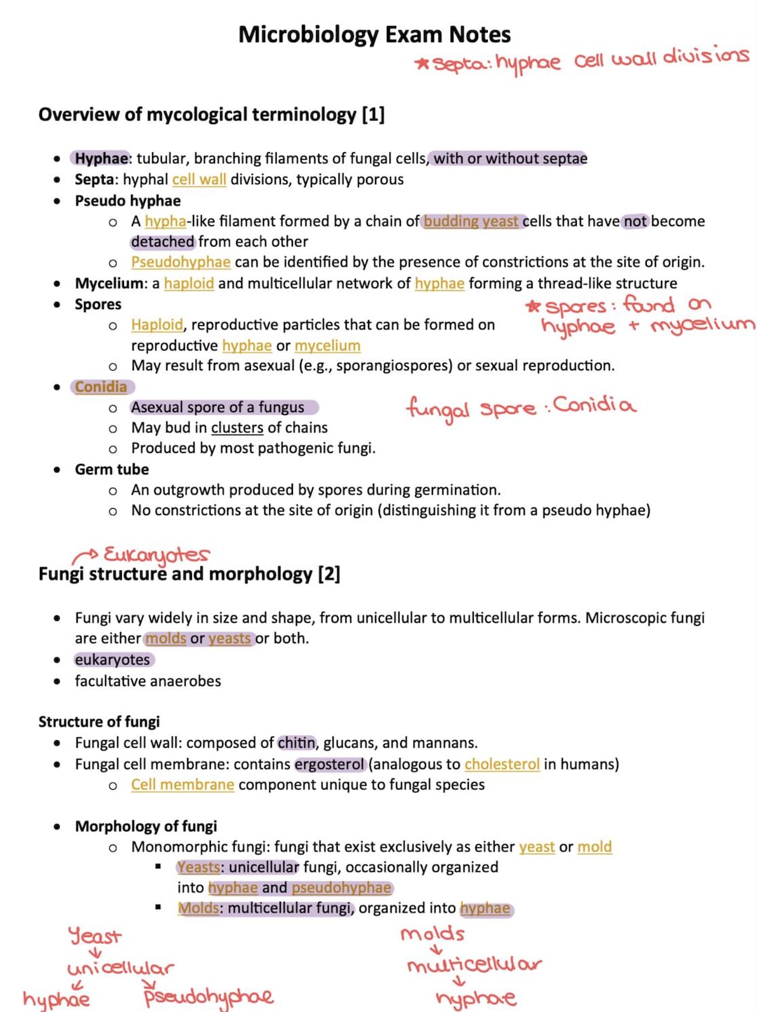 Microbiology Exam Notes - Etsy