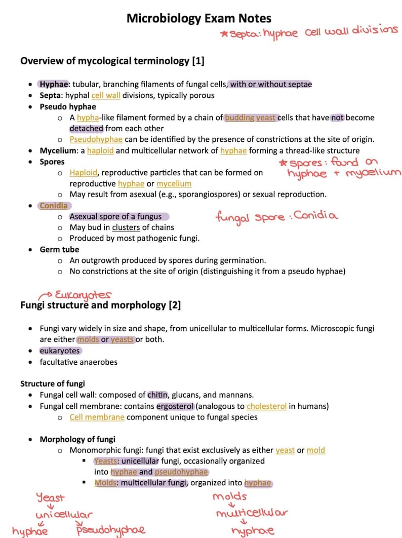 Microbiology Exam Notes - Etsy