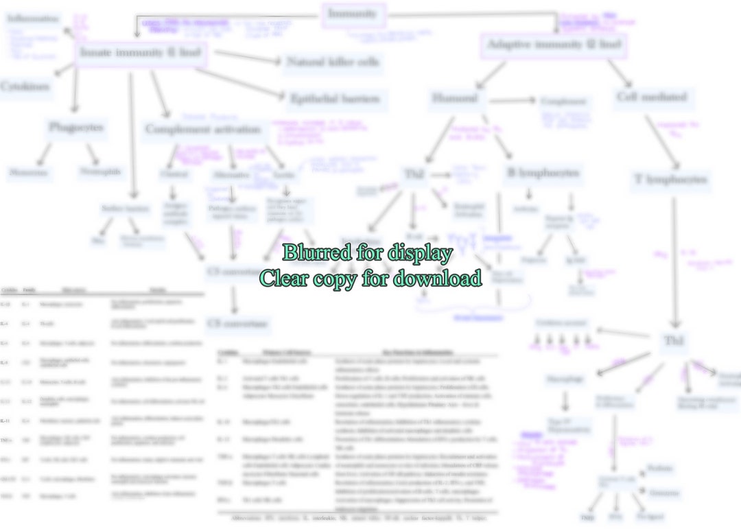Adaptive and Innate Immunity- Detailed Mind Map - Etsy