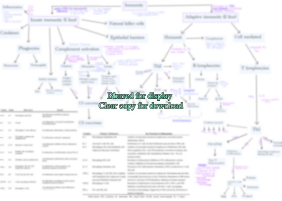 Innate Immunity Concept Map Concept Maps