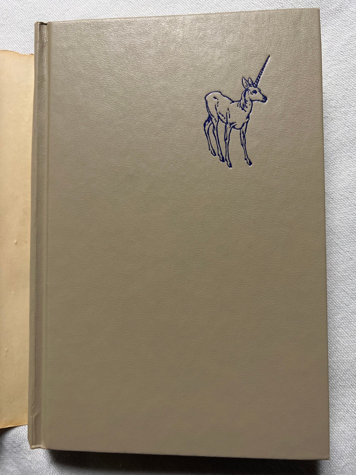 The Fantasy World of Peter Beagle - Etsy