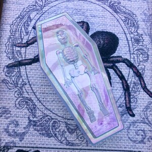 Skeleton Coffin Box - Skull Coffin Box - Plastic Treat Box - Plastic ...