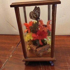 Wood With Glass Enclosed Butterfly Floral Decorative Display Box - Etsy