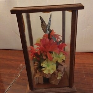 Wood With Glass Enclosed Butterfly Floral Decorative Display Box - Etsy