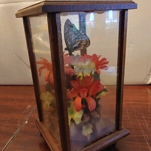 Wood With Glass Enclosed Butterfly Floral Decorative Display Box - Etsy