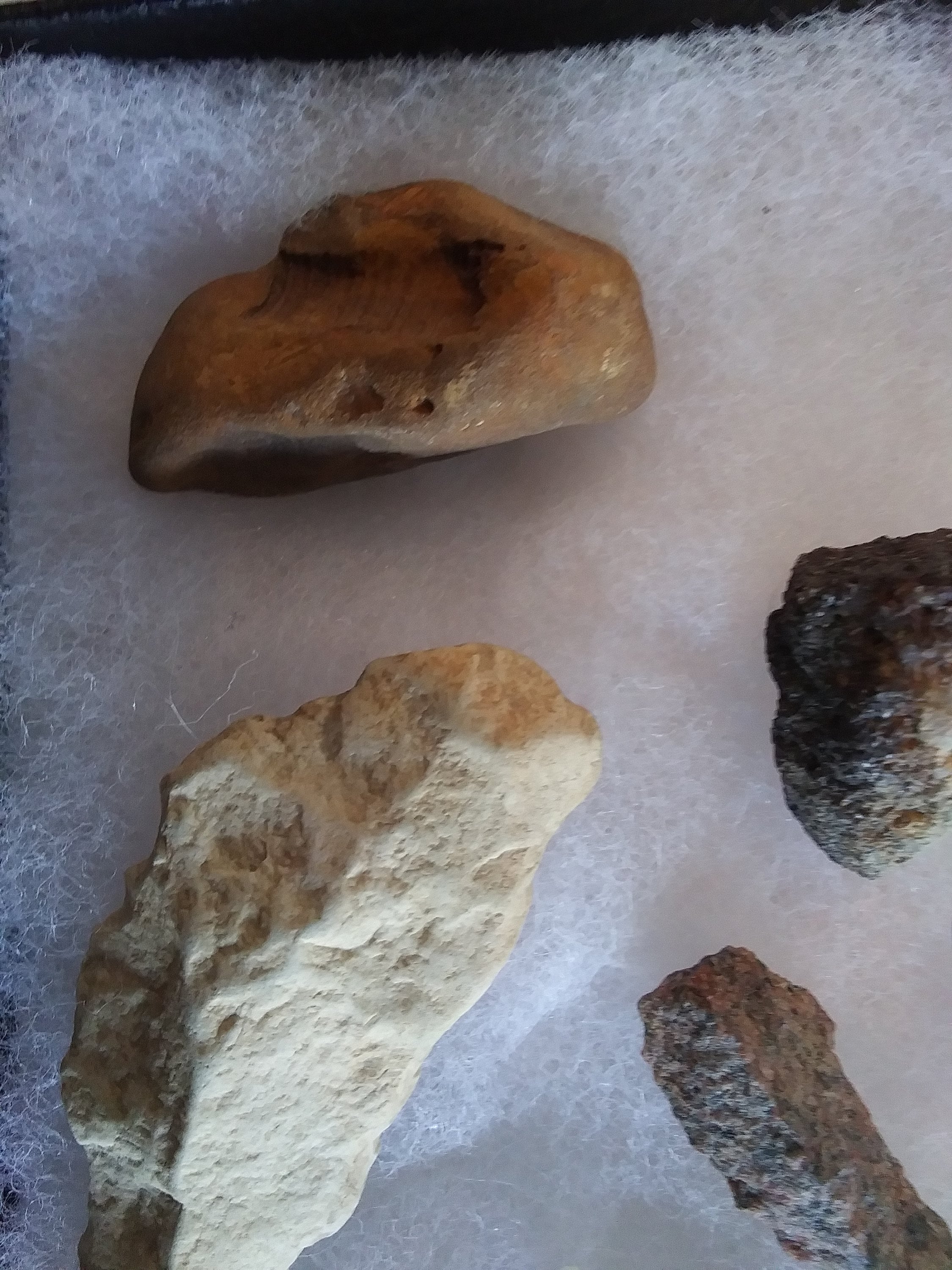 Collection of 11 Native American Arrow Heads Fossils Bones - Etsy