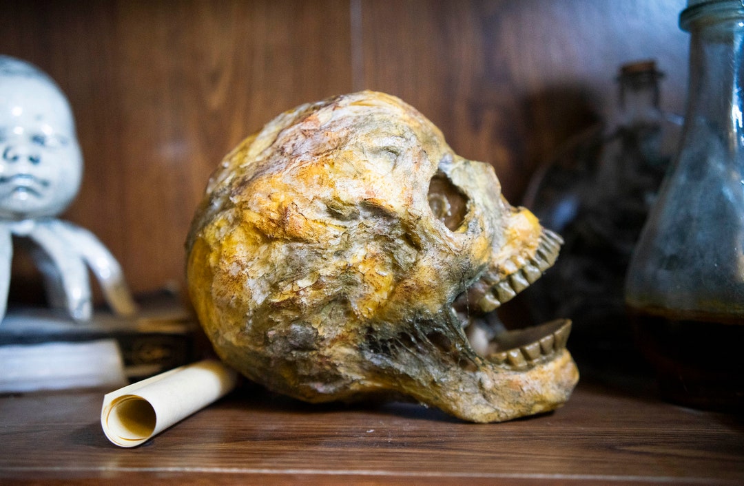Mummy Skull - Egyptian Artifact Mummy Decoration - Spooky Macabre Vinyl ...