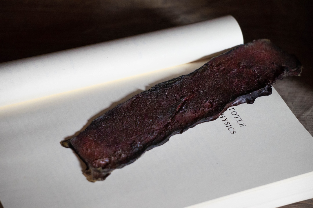 Charred Human Skin Bookmark Creepy Halloween Gift Latex Bookmark - Etsy