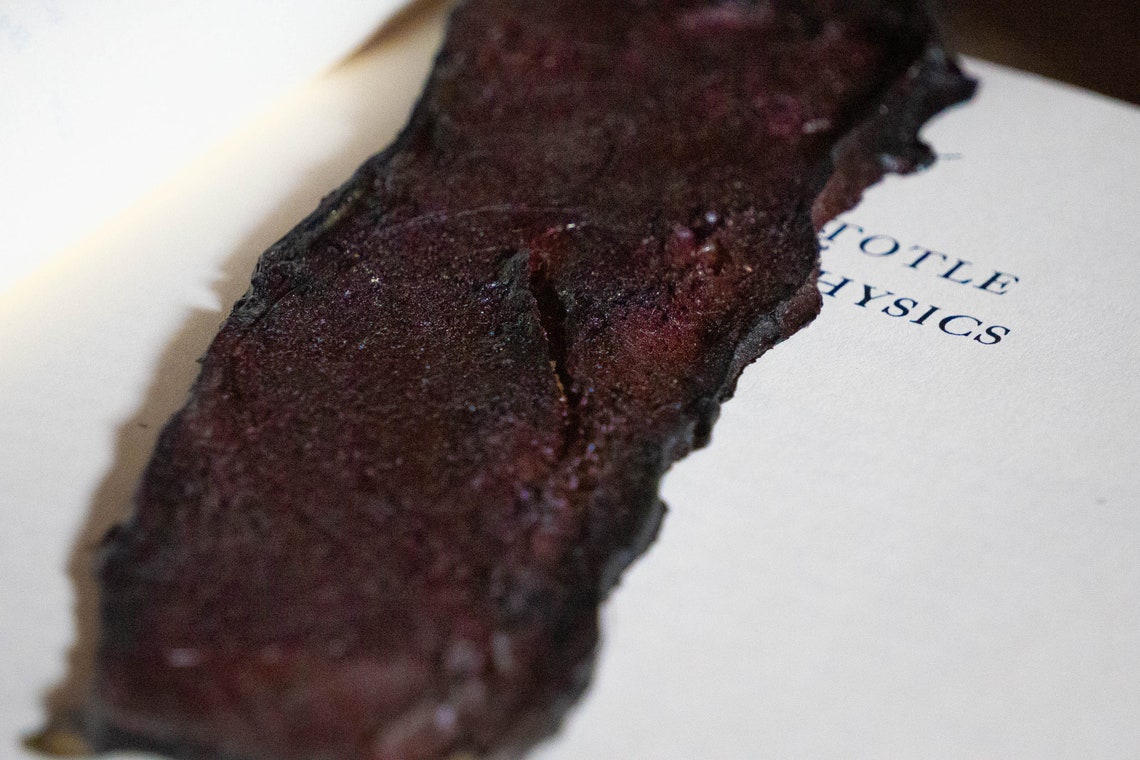 Charred Human Skin Bookmark Creepy Halloween Gift Latex Bookmark - Etsy
