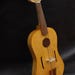 Medieval Vielle/fiddle Custom - Etsy Canada