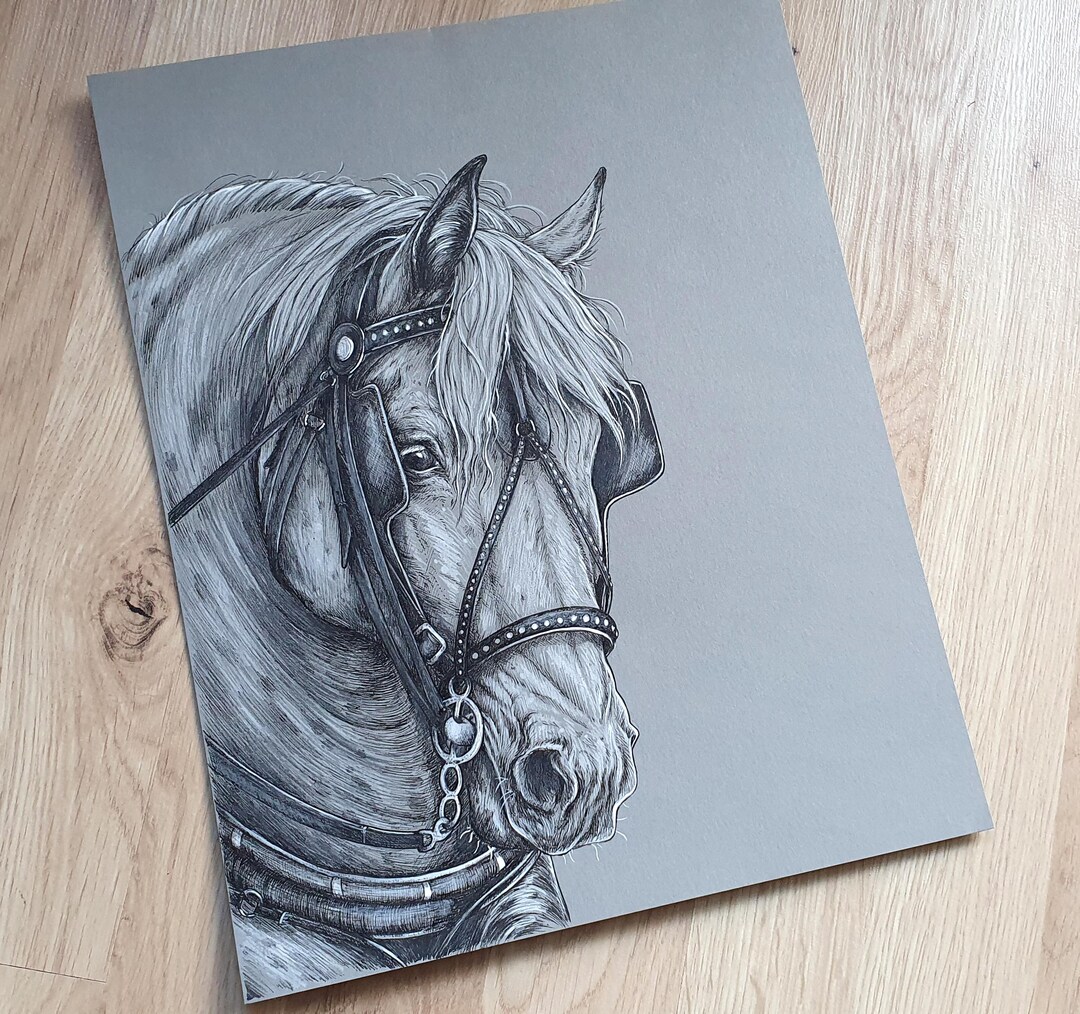Percheron Horse – Original Animal Drawing on Grey Paper, Ink & Gouache ...