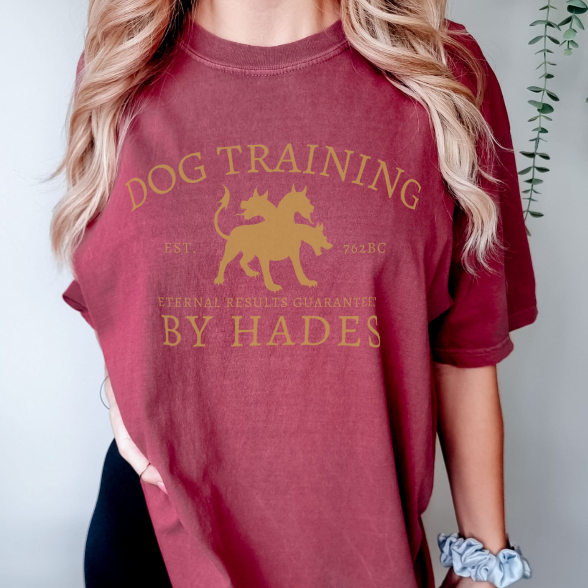 Hades Tshirt Cerberus Shirt Greek Mythology Tshirt Greek Goddess Dark ...