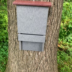 Bat House, Colony Bat House Bat Box, Amish-made. - Etsy