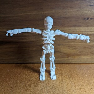 3D Printed Posable Skeleton - Etsy