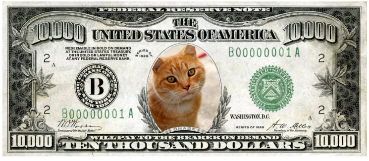 Customizable 10 Thousand Dollar Bill, Put Your Own Image, It Has a ...