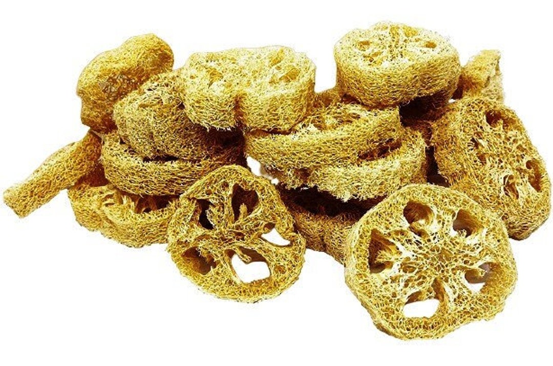 Natural Loofah Cuts/slices round Shape for Making Loofah - Etsy