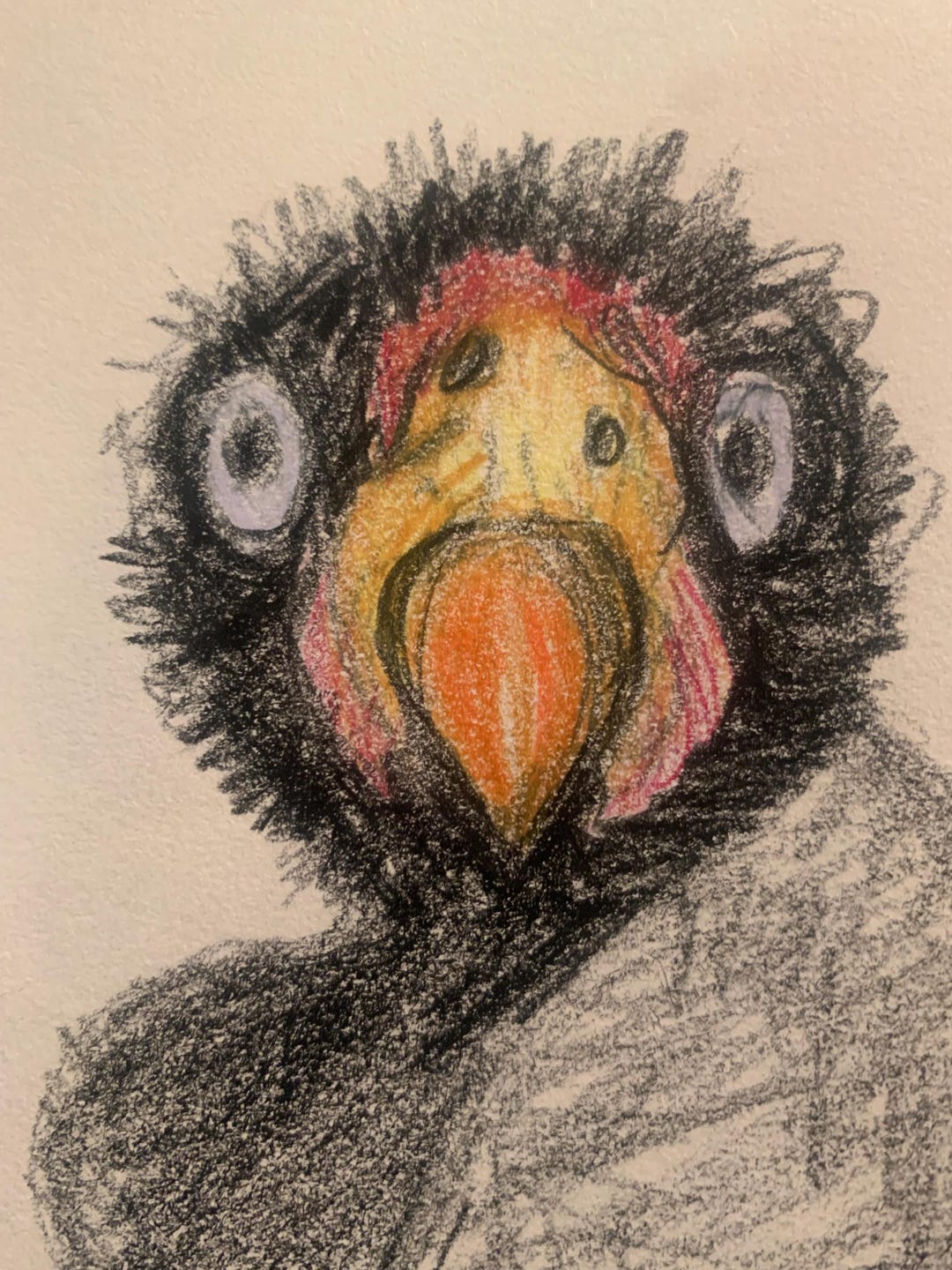 Original Colored Pencil Vulture Drawing: Wildlife Sketch, Small Art - Etsy