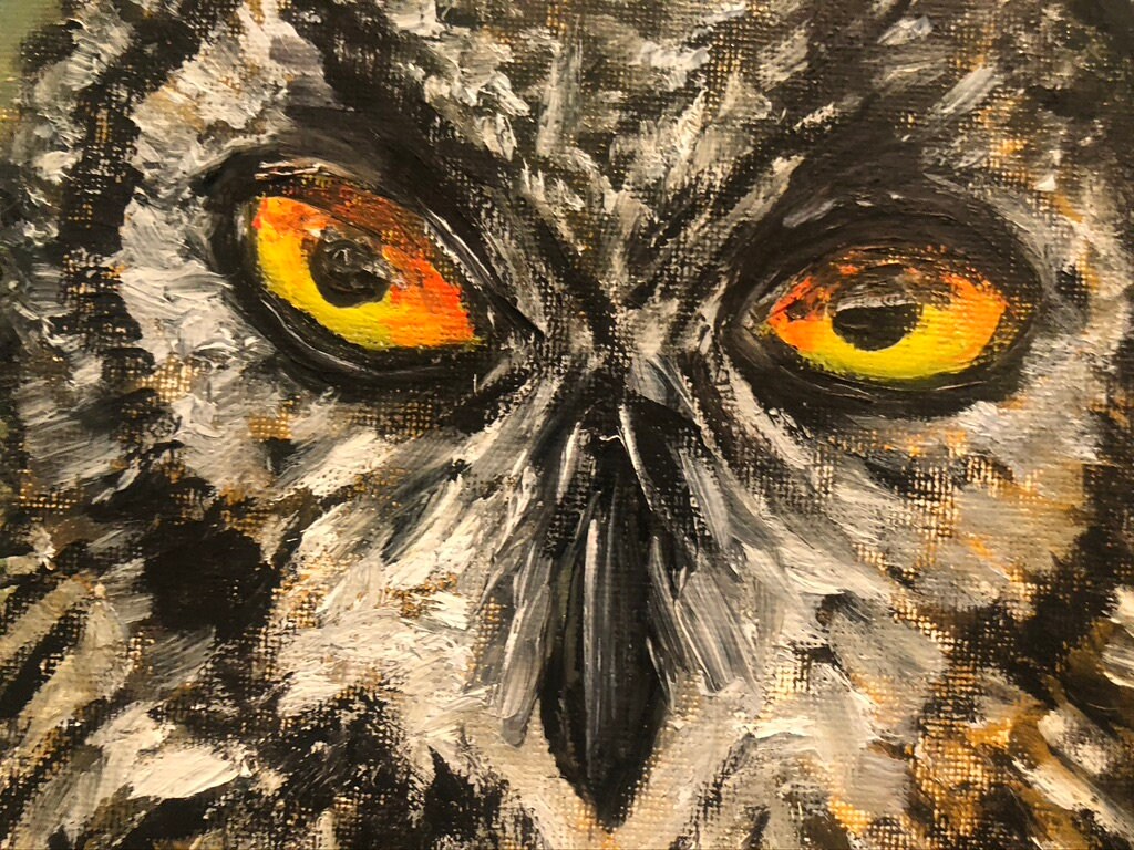 Original Oil Painting Goofy Owl Face Close up Portrait - Etsy Australia