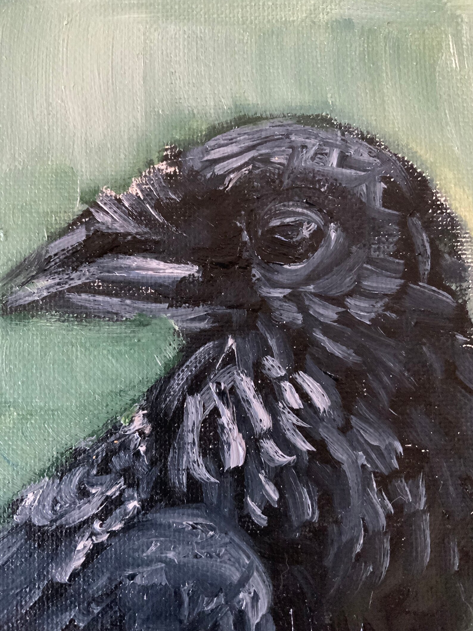 Crow Original Oil Painting Canvas Board, Black Bird Art, Corvid Artwork ...