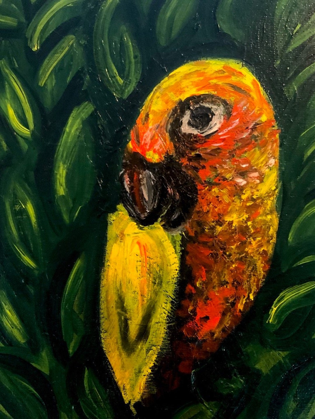 Sun Conure Oil Painting: Tropical Bird Impasto Artwork, 8x10 - Etsy