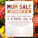 Editable Fall Mum Sale Flyer Template, School Fundraiser, Canva - Etsy ...