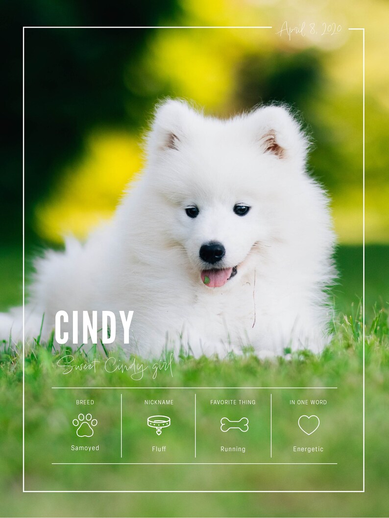 Custom Dog Stat With Photo | Digital File | Personalized and ...