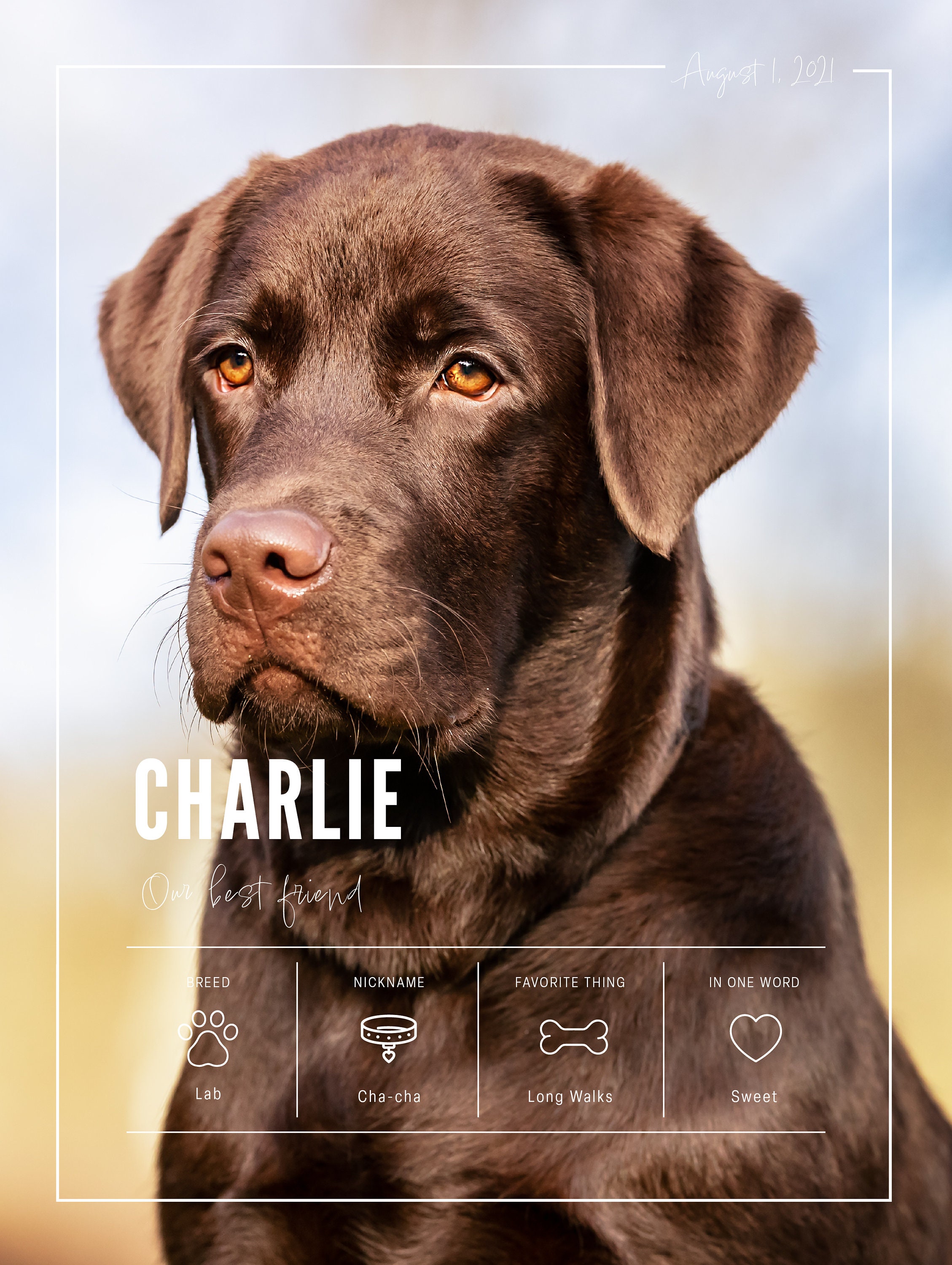 Custom Dog Stat With Photo | Digital File | Personalized and ...