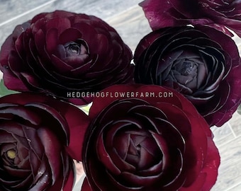 HedgehogFlowerFarm - Etsy