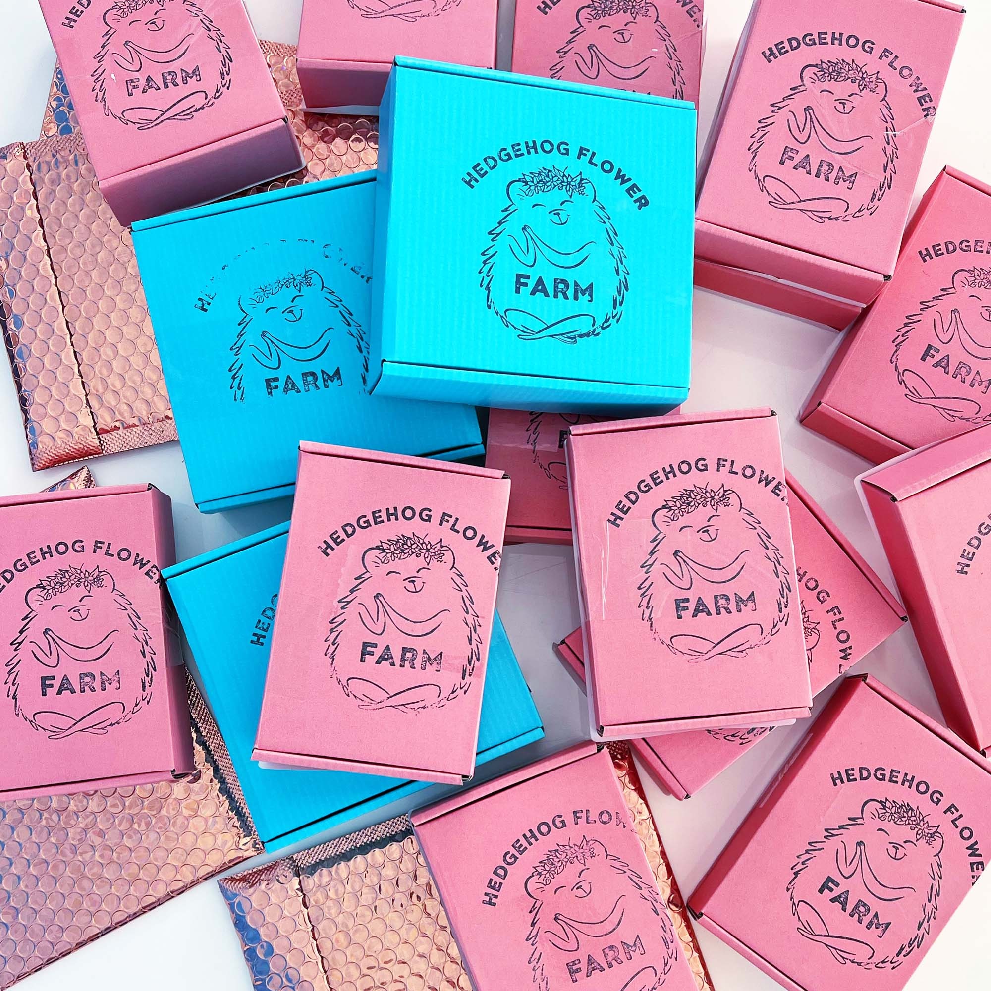 Ranunculus - Half Clone Juliette - 10 Corms - Sweet Pink Persian ...