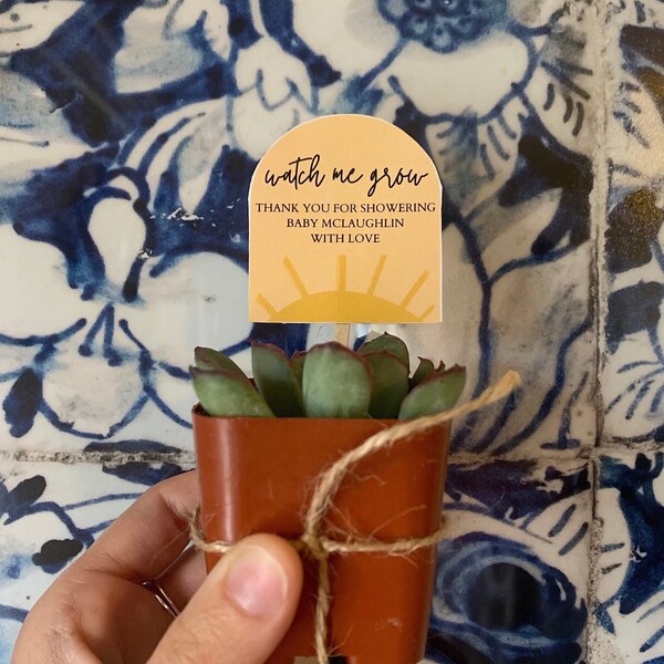 Watch Me Grow Succulent Tags - Etsy
