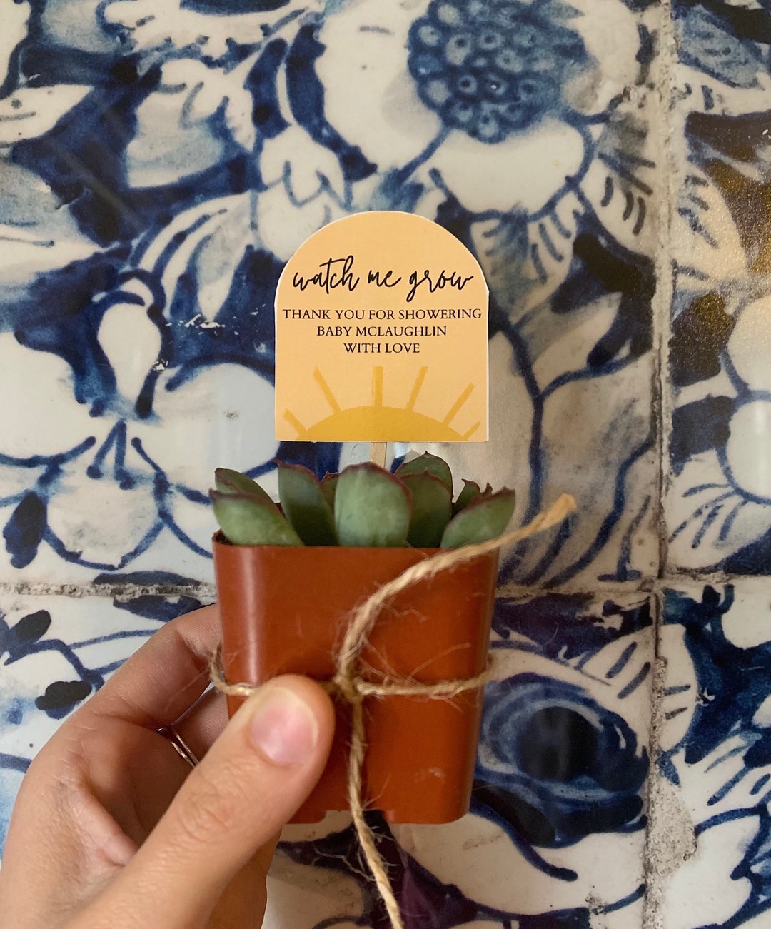 BABY IN BLOOM Succulent Tag, Watch Me Grow Tag, Printed Baby in Bloom ...