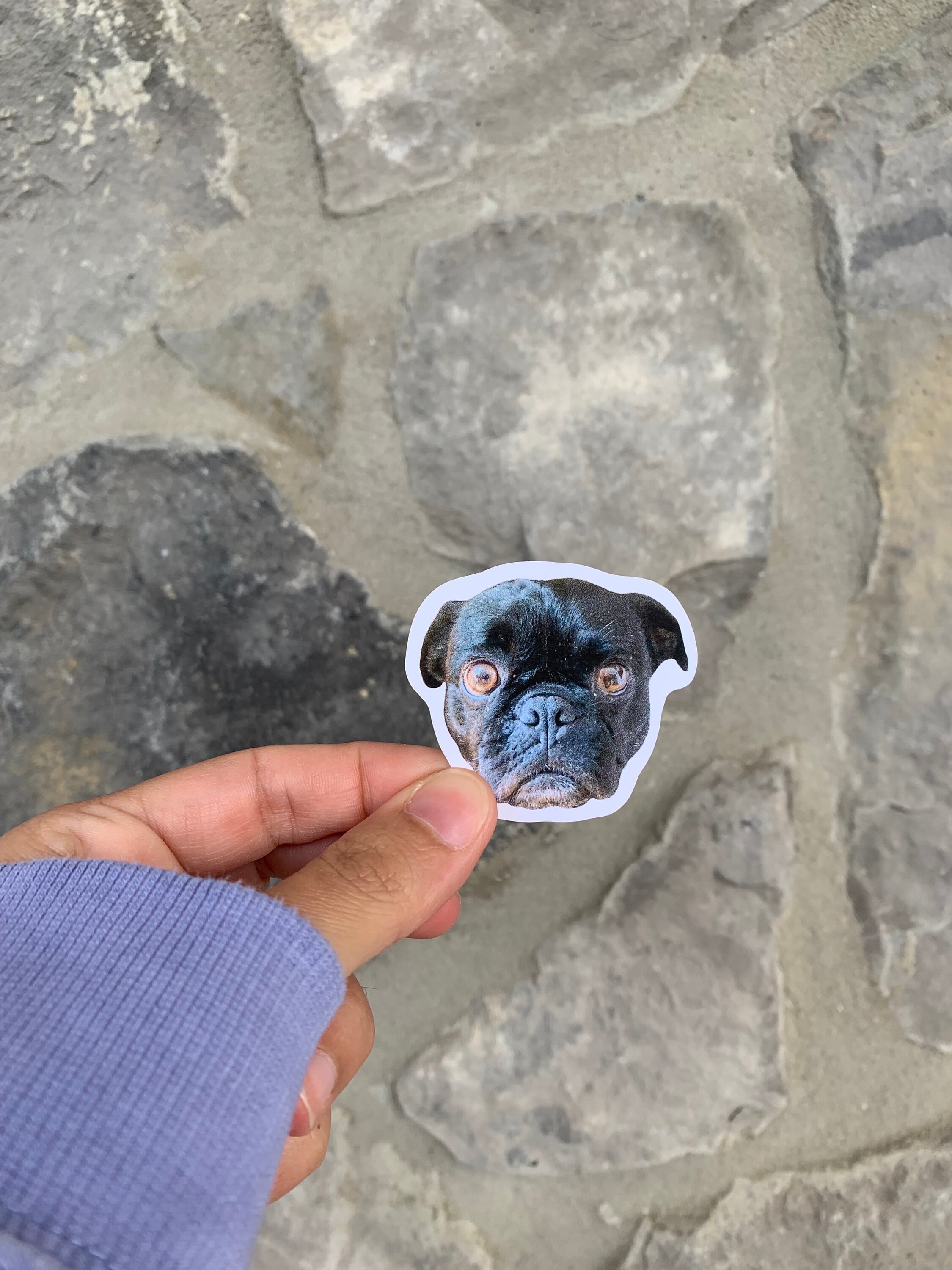 CUSTOM PET STICKERS, Custom Dog Sticker, Custom Cat Sticker, Face ...