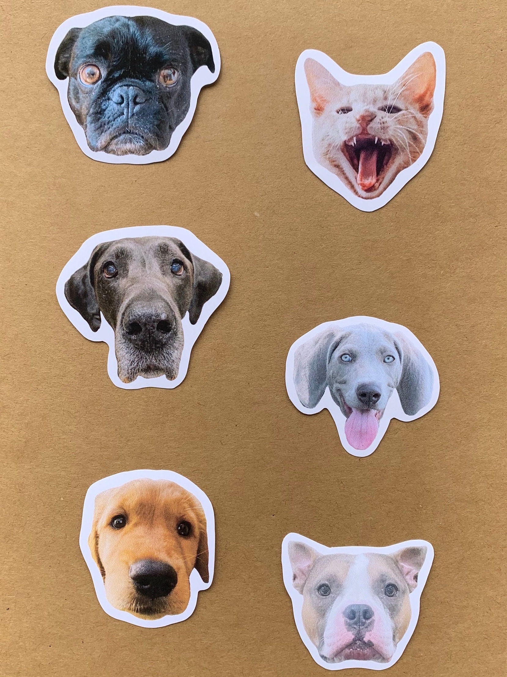 CUSTOM PET STICKERS, Custom Dog Sticker, Custom Cat Sticker, Face ...