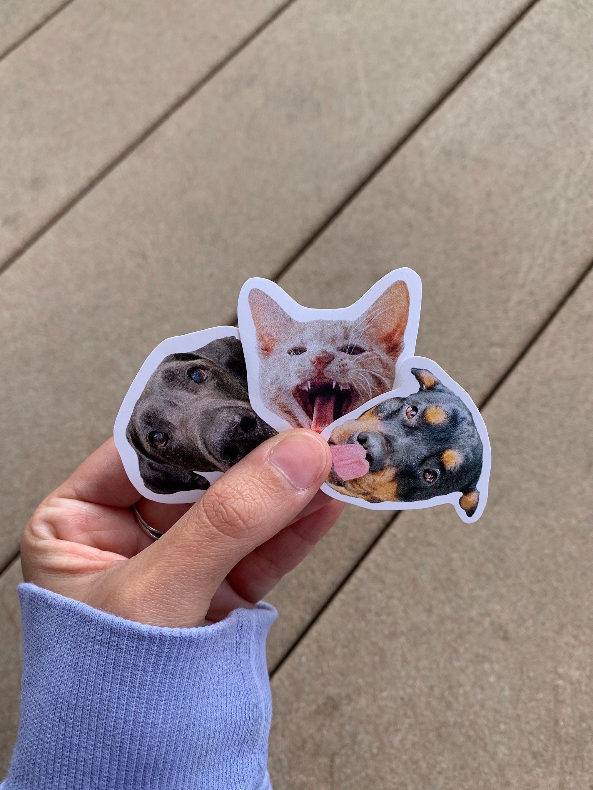CUSTOM PET STICKERS, Custom Dog Sticker, Custom Cat Sticker, Face ...