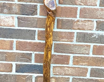 49 Vine Twisted White Oak Walking Stick Handmade & Finished USA - Etsy