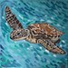 Original Sea Turtle Acrylic Painting - Etsy