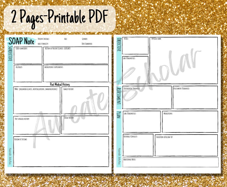 SOAP Note Template for Nurse Practitioner Students Medical - Etsy