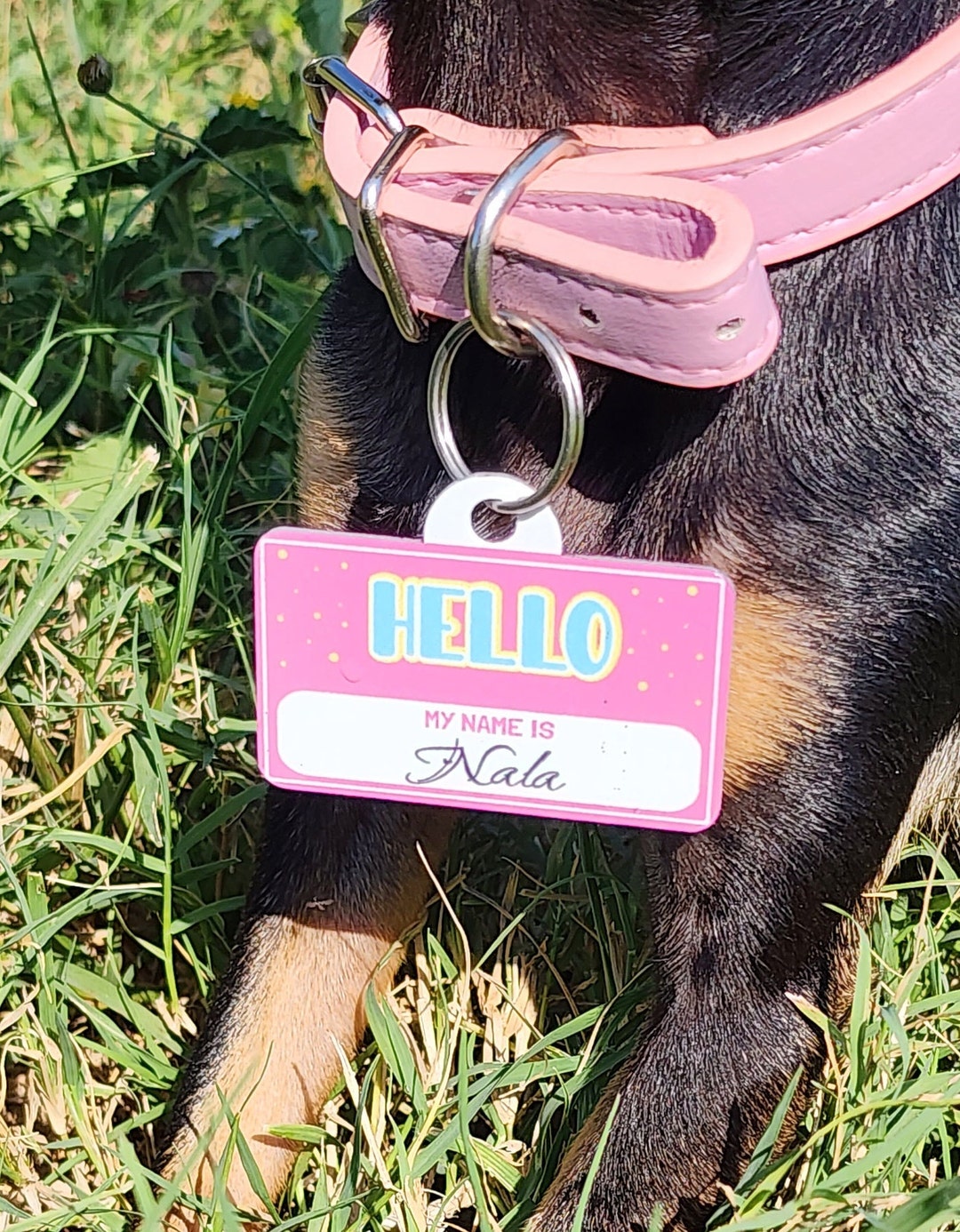 Cute Pet ID Tag Custom Personalized Tag My Name is Dog Tag Double Sided ...