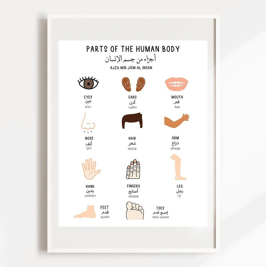 Arabic Body Parts | Montessori Nursery Wall Decor | Educational Wall ...