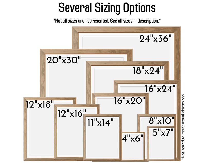 Single Flower Printable Wall Decor Wall Art Minimalist Home - Etsy