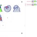 Seals of Approval - Seal Twitch Emote Set - Etsy