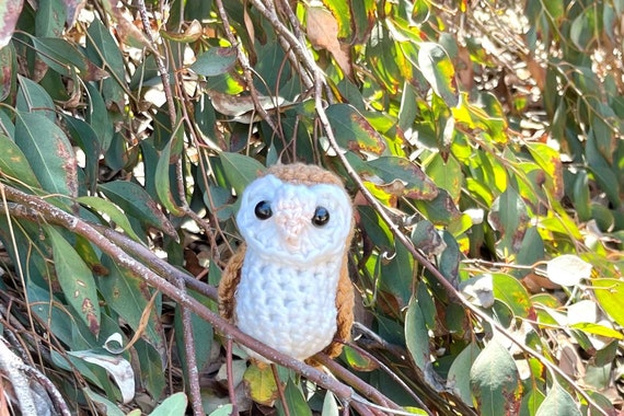 Little Barn Owl Crochet Pattern - Etsy